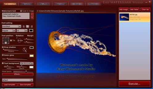 Easy Watermark Studio Pro 2.0 Free Download With Serial License Key ...